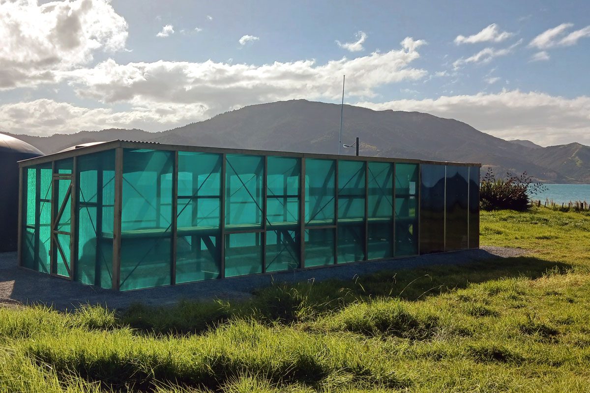Shadehouse - Best Timber Shadehouse for sale NZ - Nutopia Greenhouses