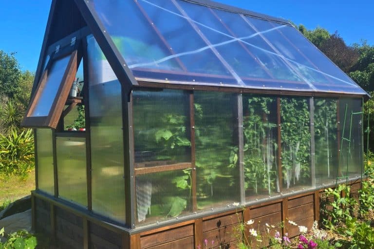 How a Nutopia Greenhouse Can Help You Conserve Water (and Grow More ...