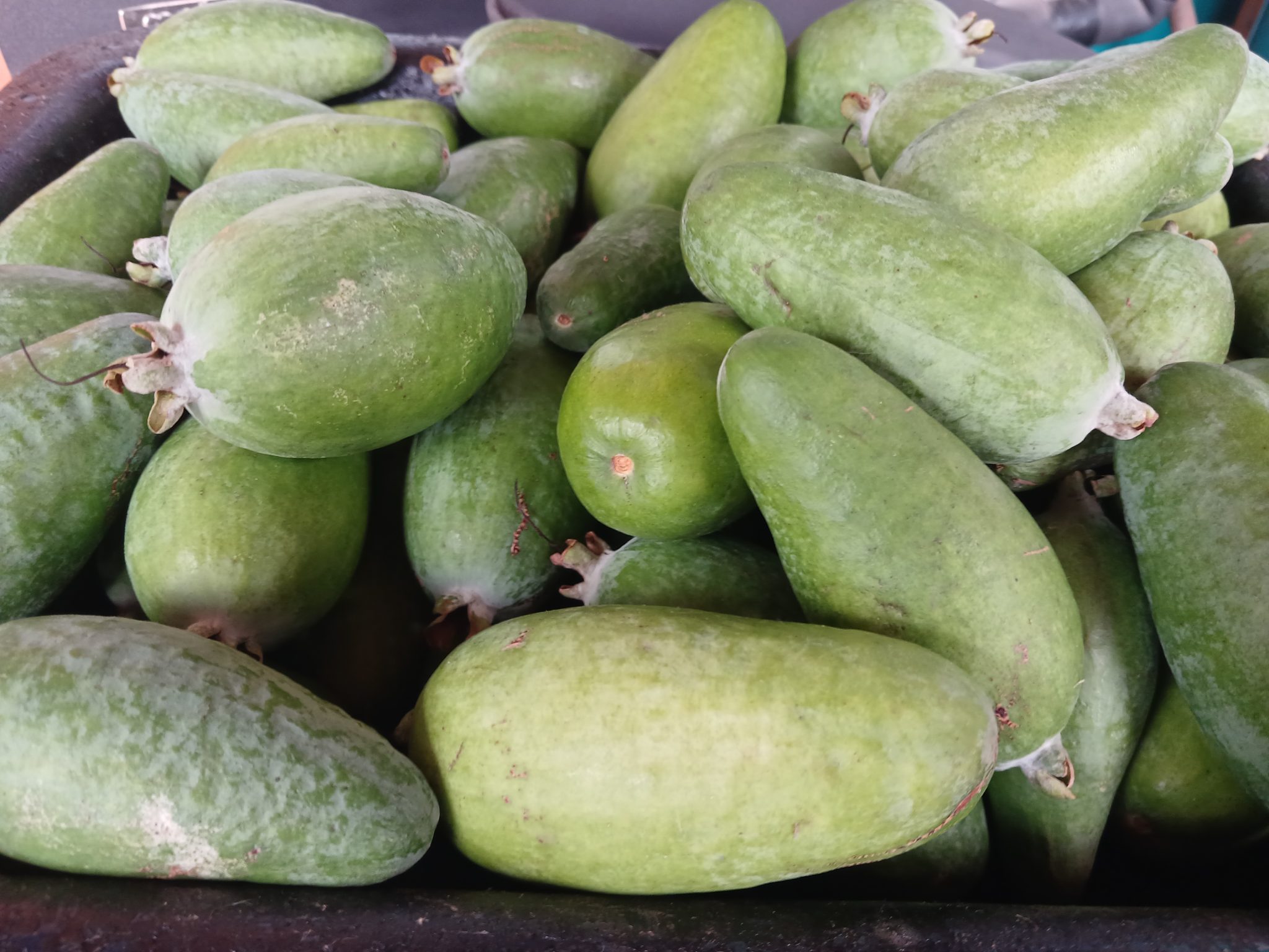 The Nutopia Guide to Feijoas: Everything You Need to Know About This ...